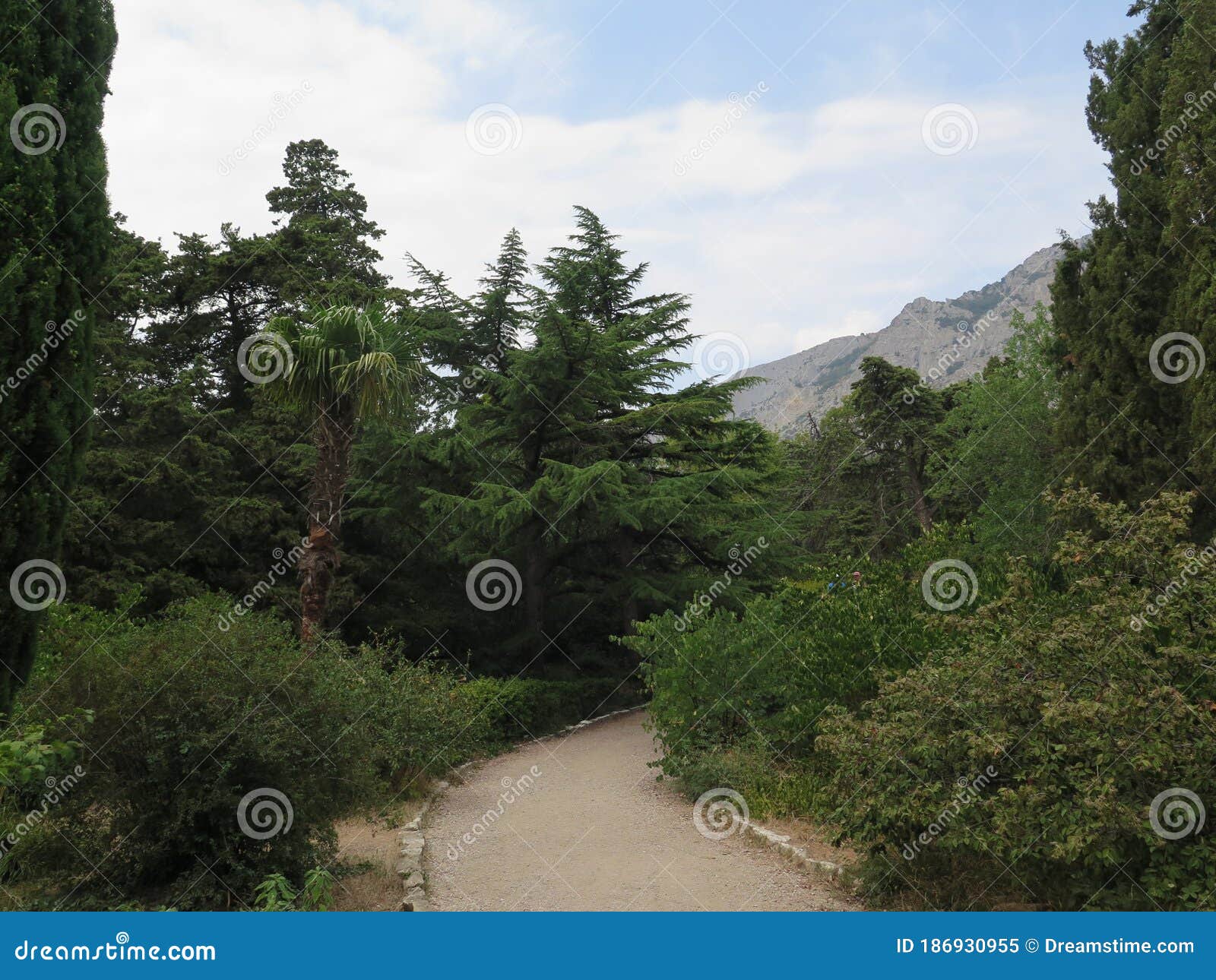 Path in the mountains stock image. Image of nature, country - 186930955