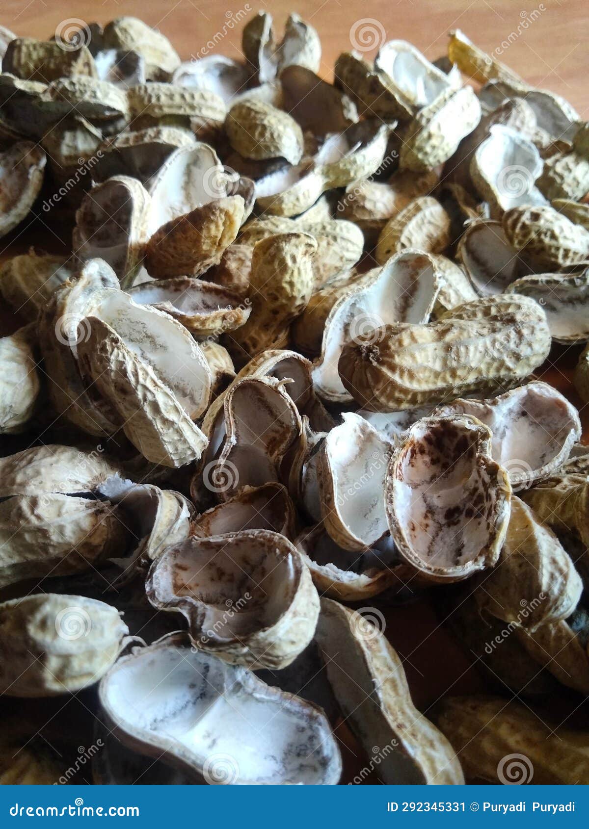Cute peanut shells stock image. Image of kulit, peanut - 292345331
