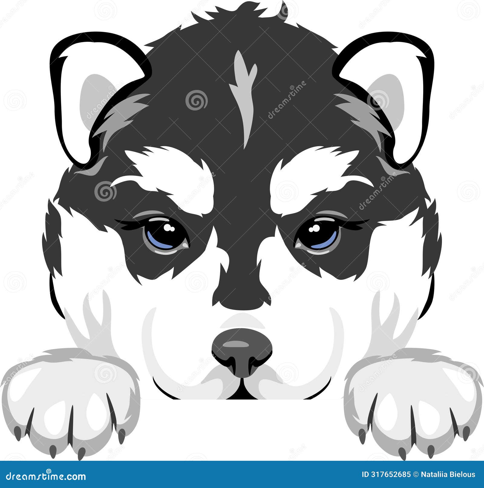 Cute Peeking Husky Puppy Isolated on White Stock Vector - Illustration ...