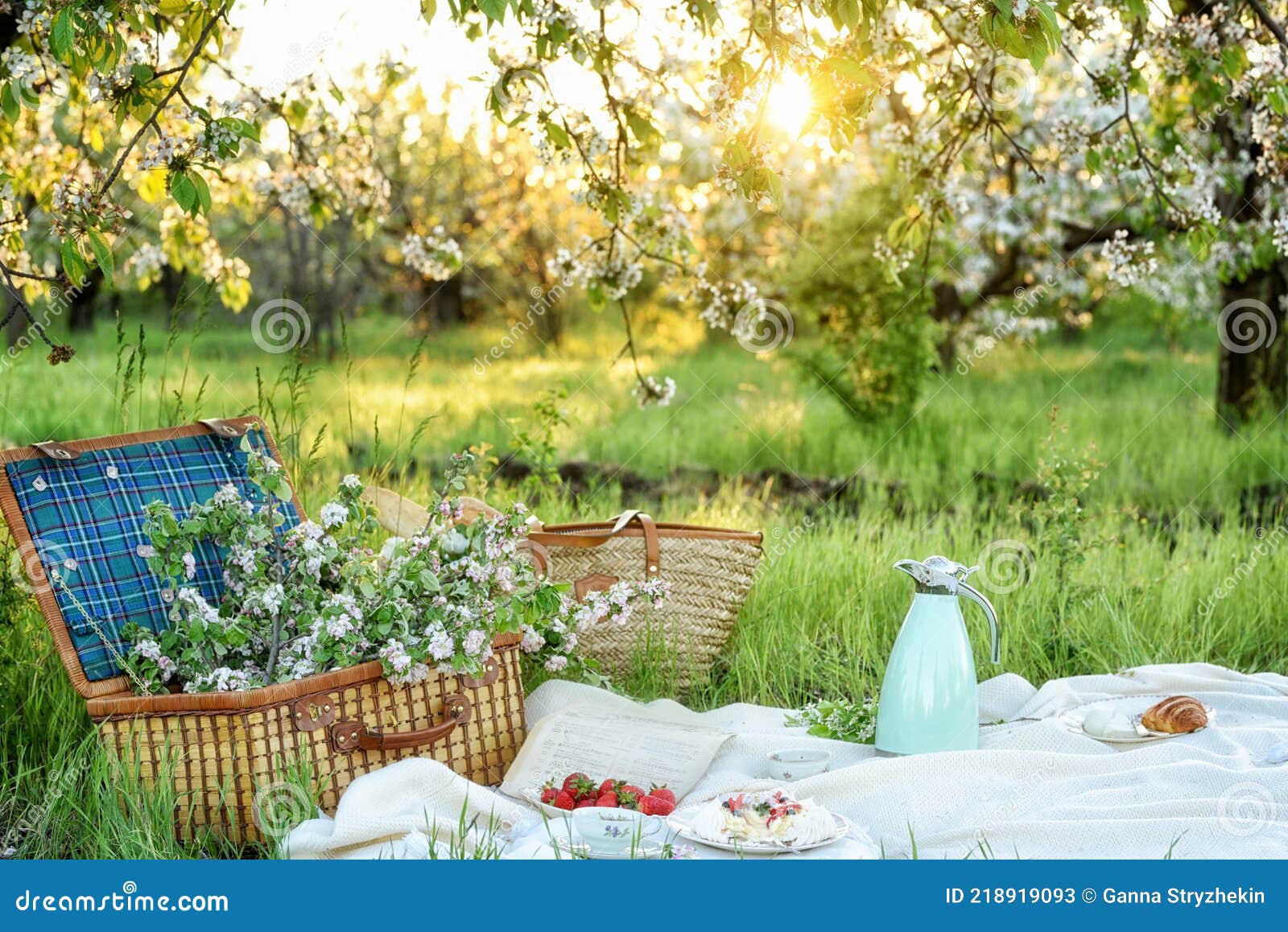 Cute Picnic in the Spring Garden. Stock Image - Image of bloom ...
