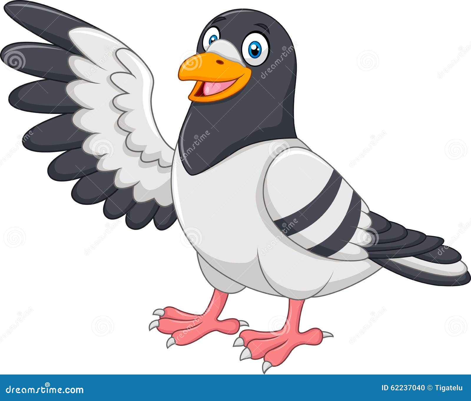 Pigeon Clipart