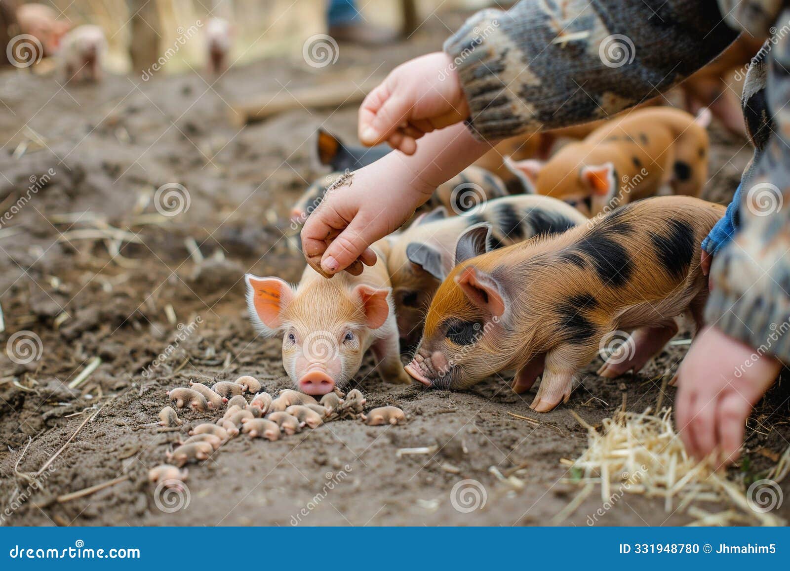 Cute Piglets with Human Hand Stock Illustration - Illustration of ...