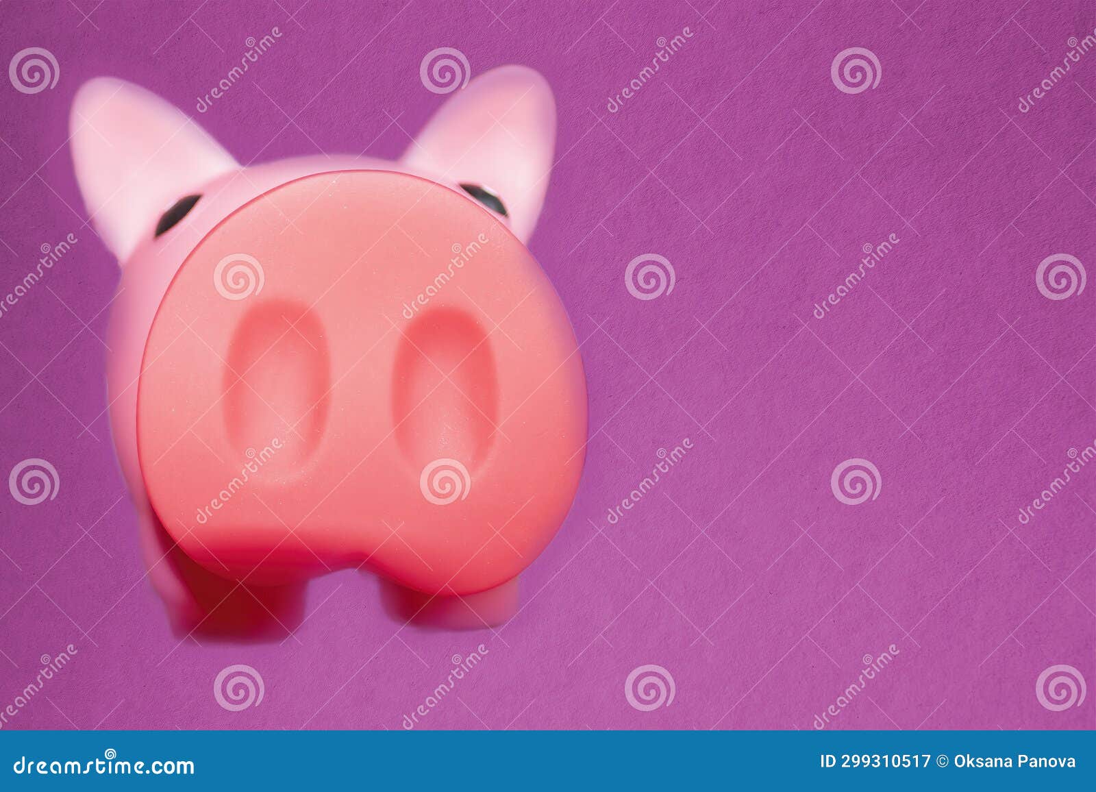 Cute Pink Pig Nose. Pig Head Close Up Stock Image - Image of meat ...