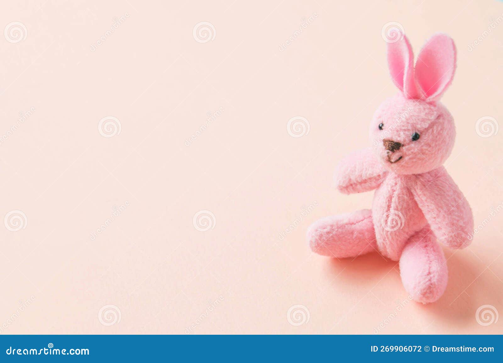 Cute pink rabbit stock photo. Image of cooperation, care - 269906072