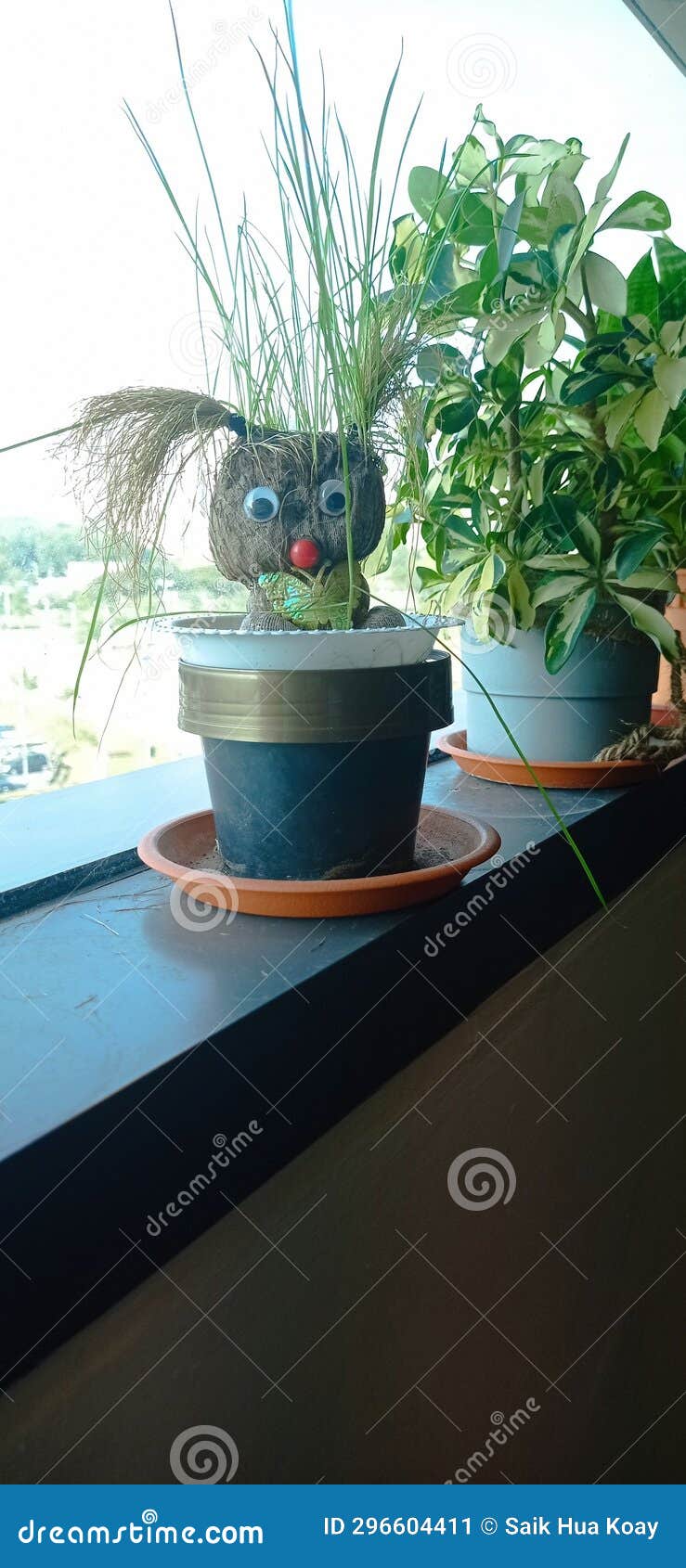 Cute Plant Grow Hair Greenery Stock Image - Image of hair, grow: 296604411