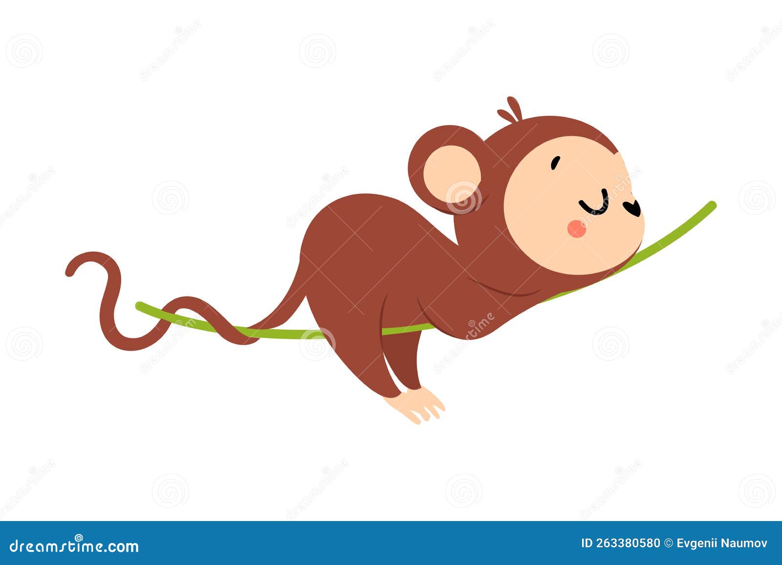 Long Liana Vine And Rectangular Frame Royalty-Free Illustration ...