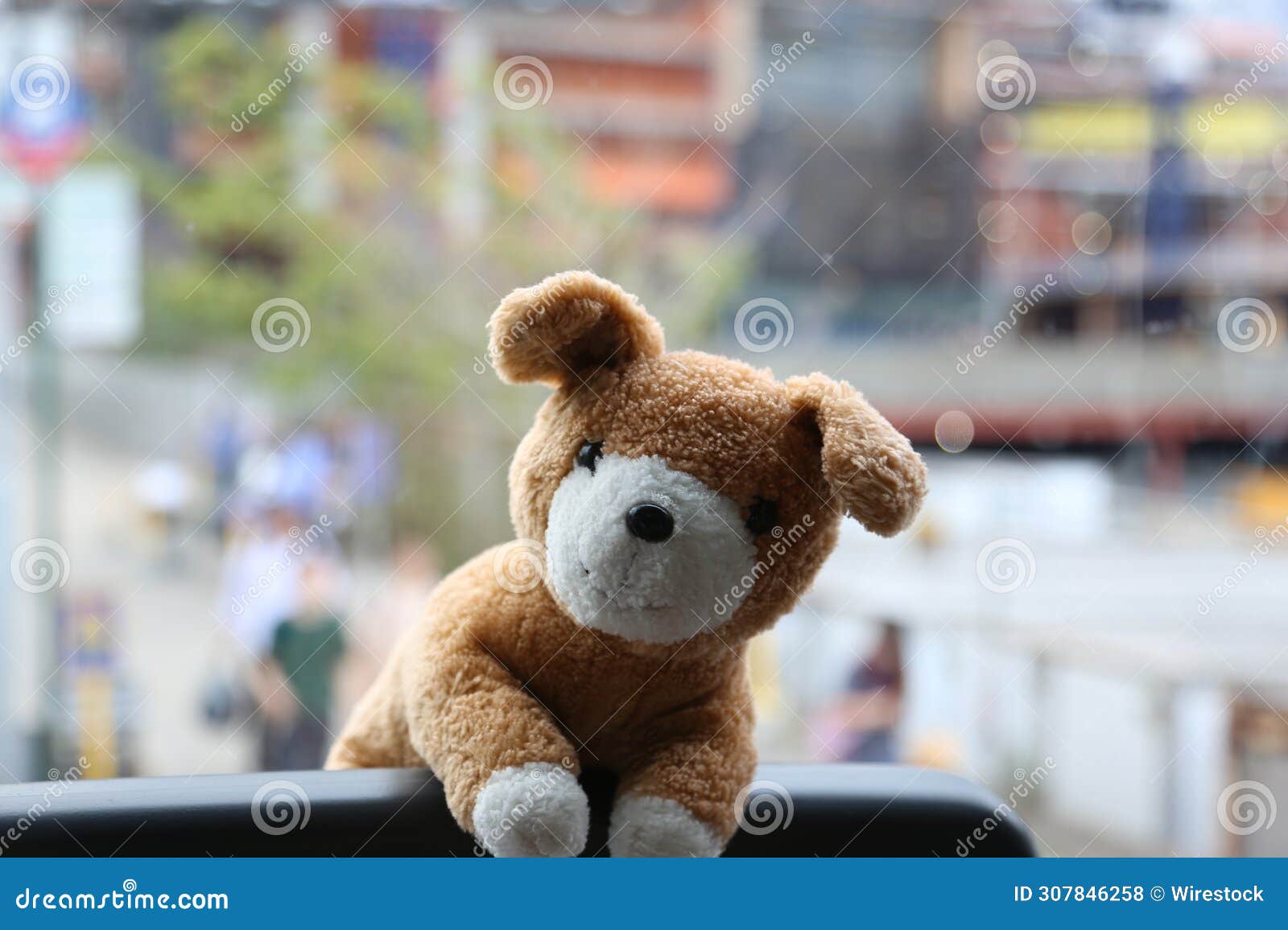 Cute Plush Toy Perched on a Window Sill. Stock Photo - Image of fabric ...