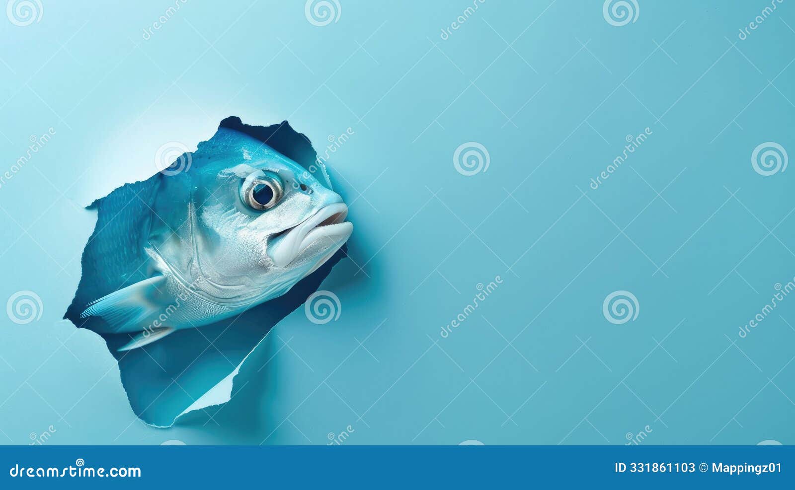 Cute Pompano Peeking through a Hole Stock Illustration - Illustration ...