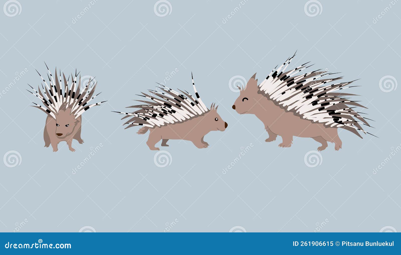 Cute Porcupine Set Vector Illustration Stock Vector - Illustration of ...