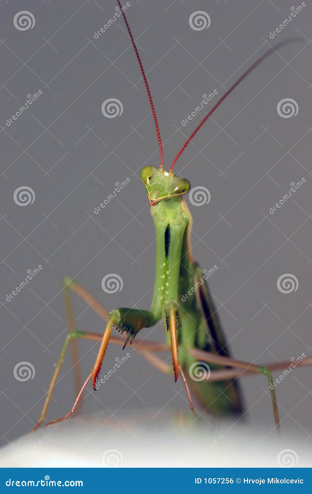 Cute Praying Angel On The Window At Home. Religious Background. Royalty ...