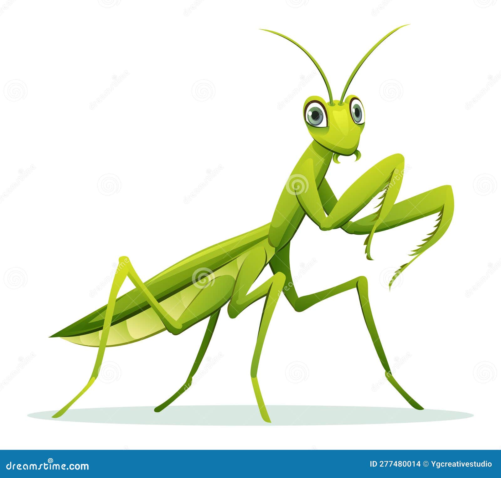 Cute Praying Mantis Cartoon Illustration Stock Vector - Illustration of ...