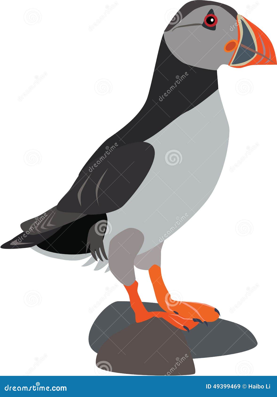 Cute puffin vector stock vector. Illustration of cute - 49399469