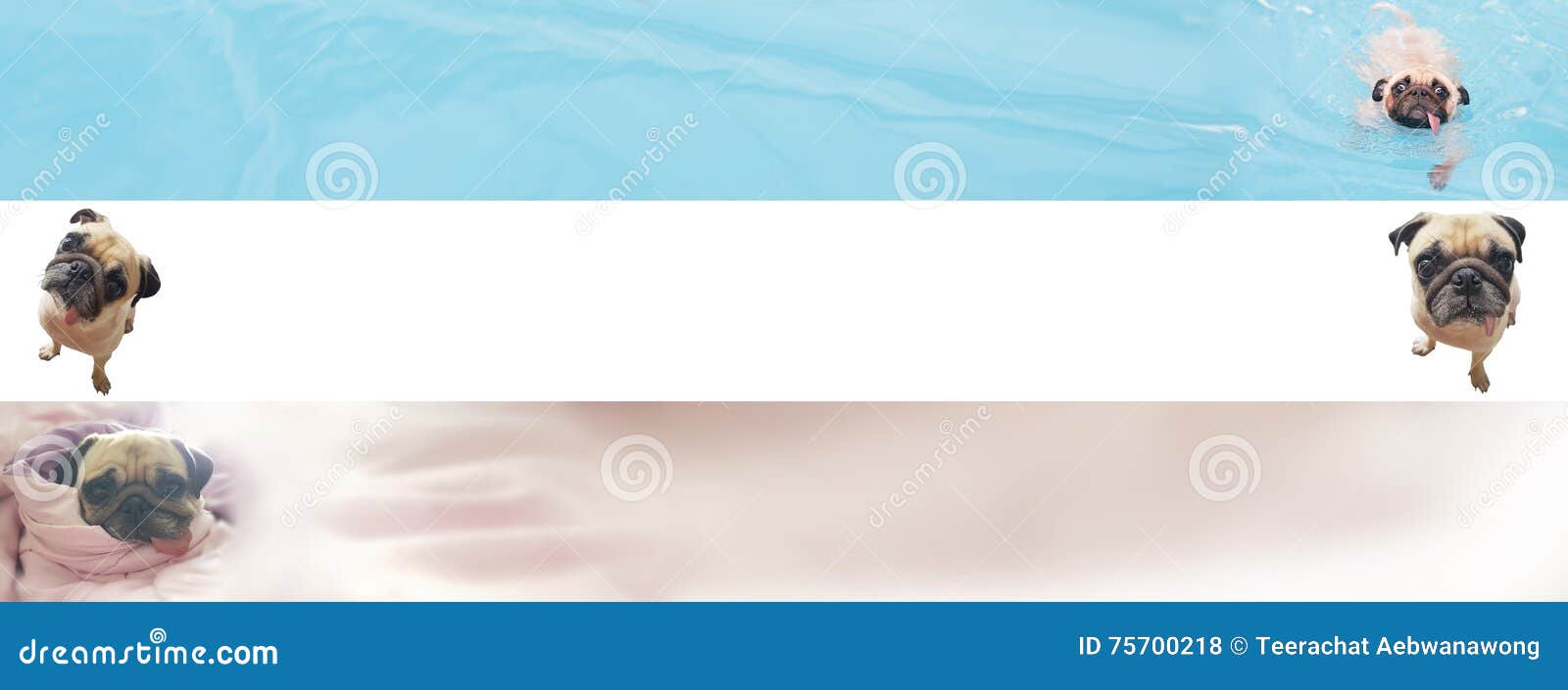 Cute Pug Dog Banner for Web Advertisement with Copy Space for Text ...