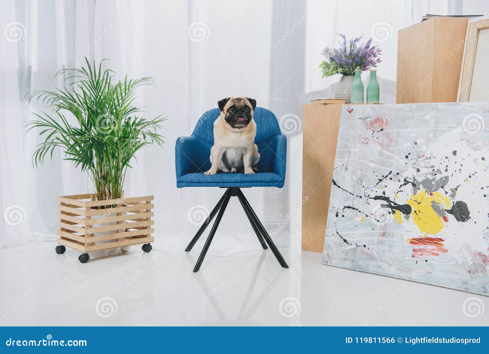Cute pug sitting on chair stock photo. Image of painting - 119811566