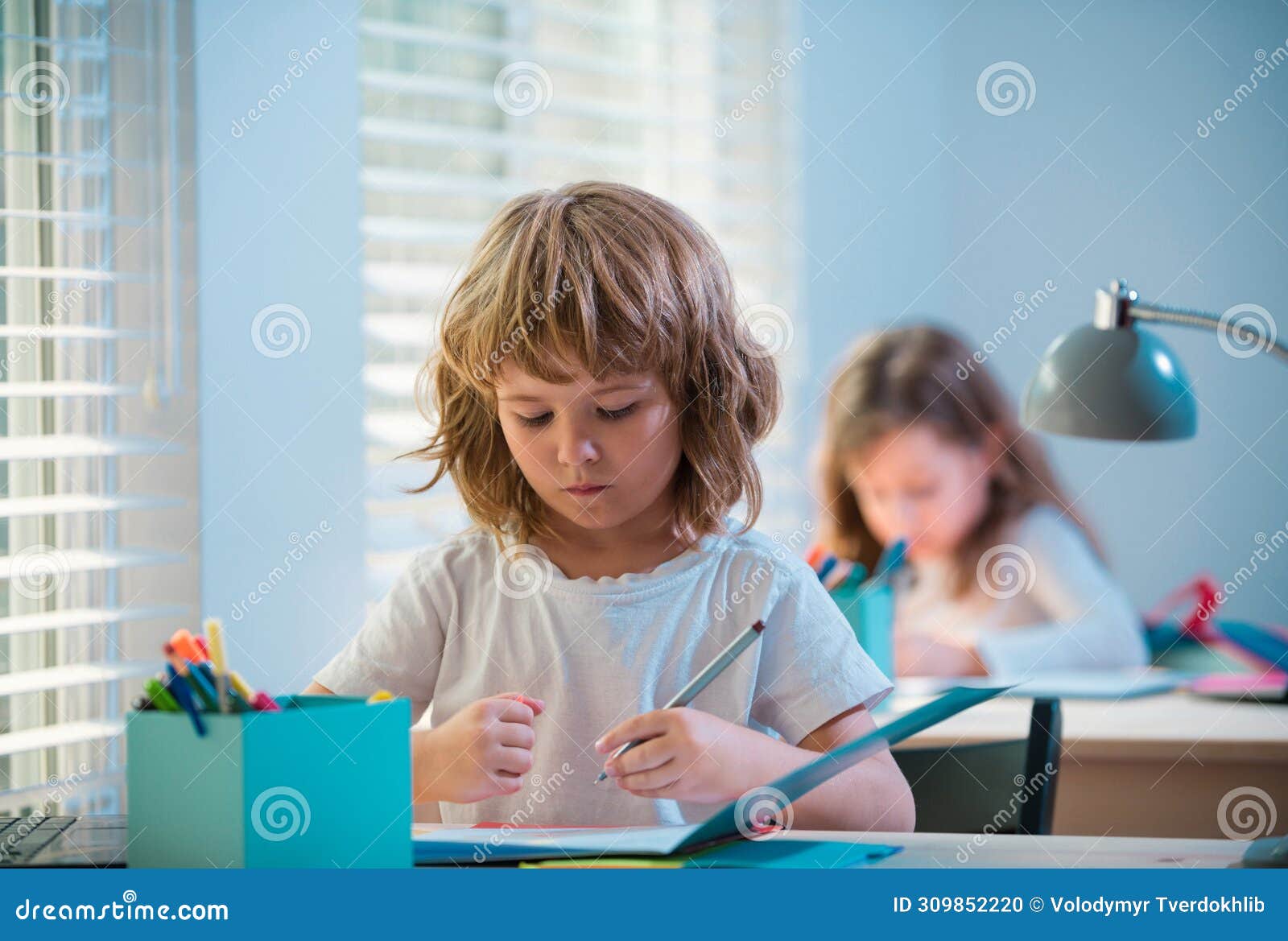 Cute Pupil Writing at Desk in Classroom at the Elementary School ...
