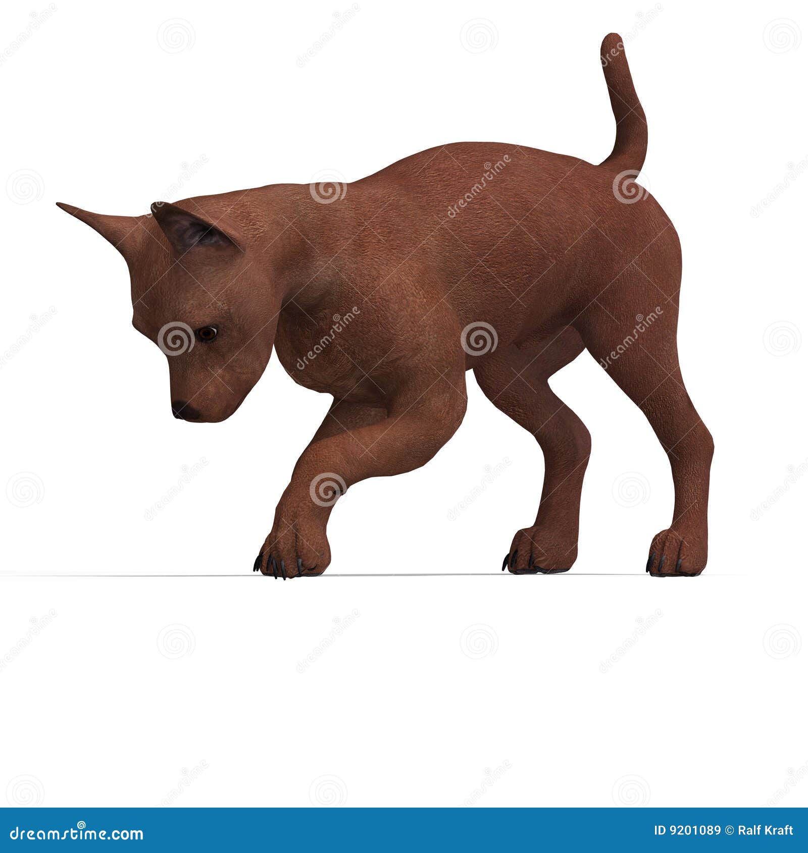 Cute puppy min pin stock illustration. Illustration of activity - 9201089