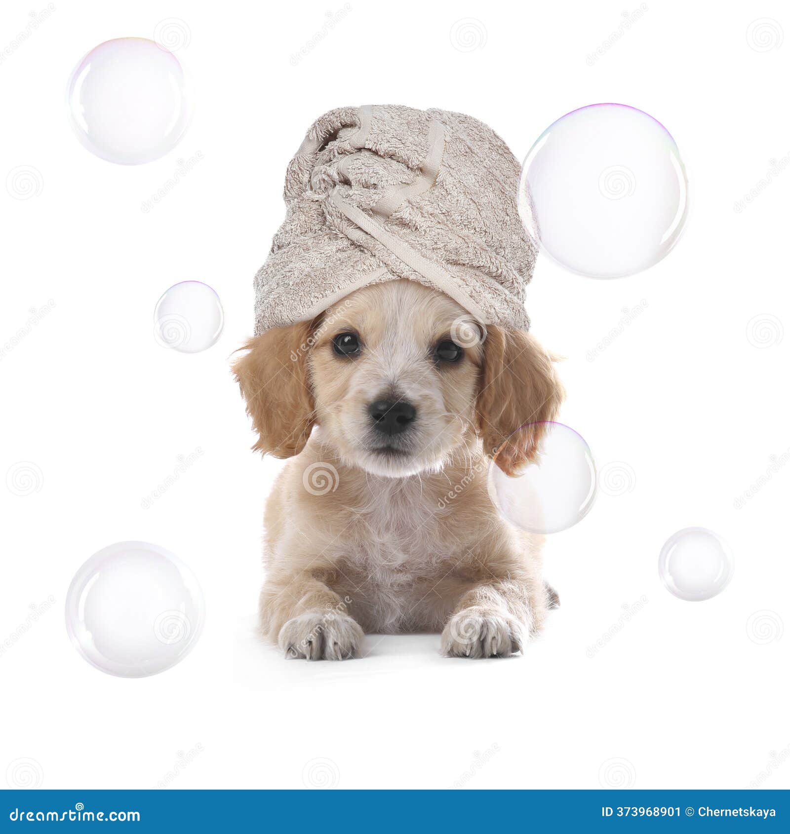 Floating Soap Bubbles Of Different Colors And Sizes Black Background ...