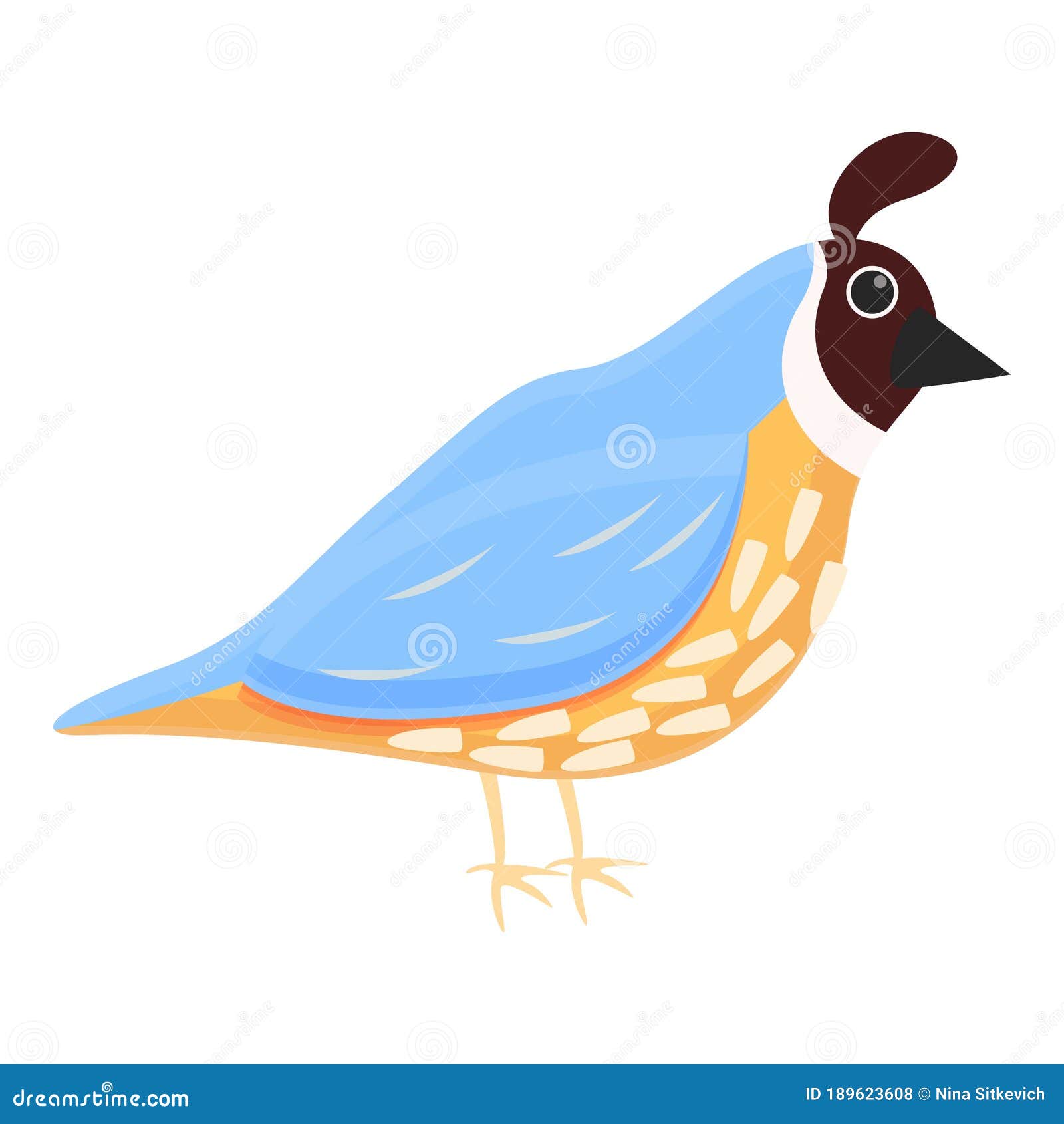 Cute Quail Icon, Cartoon Style Stock Vector - Illustration of feather ...