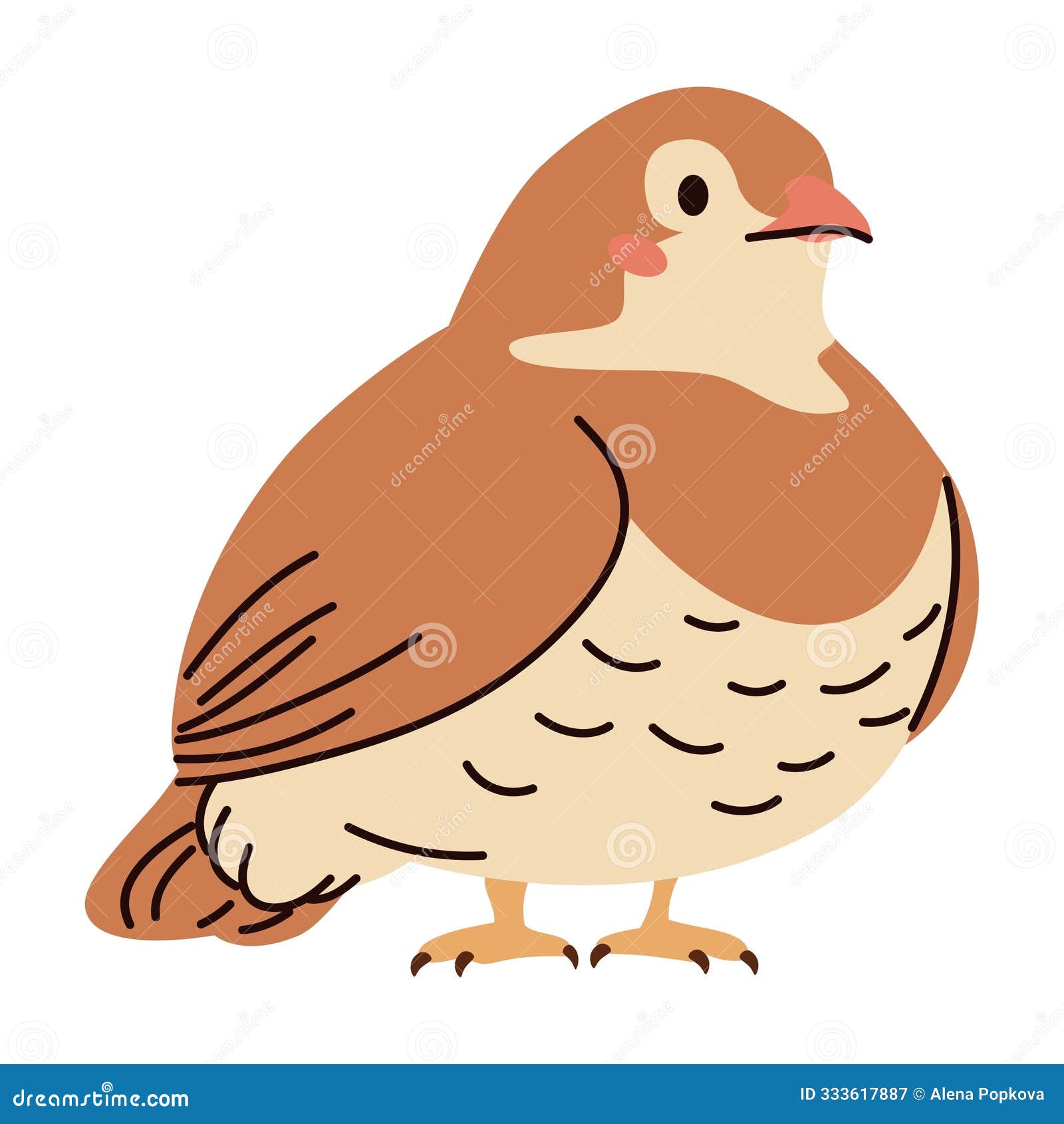Simple Quail Clip Art With White Margins And Easy Crop Stock Photo ...