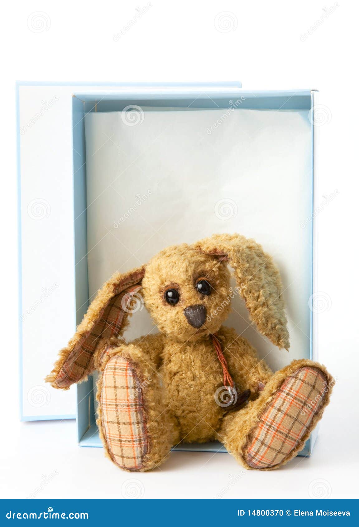 Cute Rabbit Bunny Soft Toy,sitting In A Gift Box, Stock Photo ...