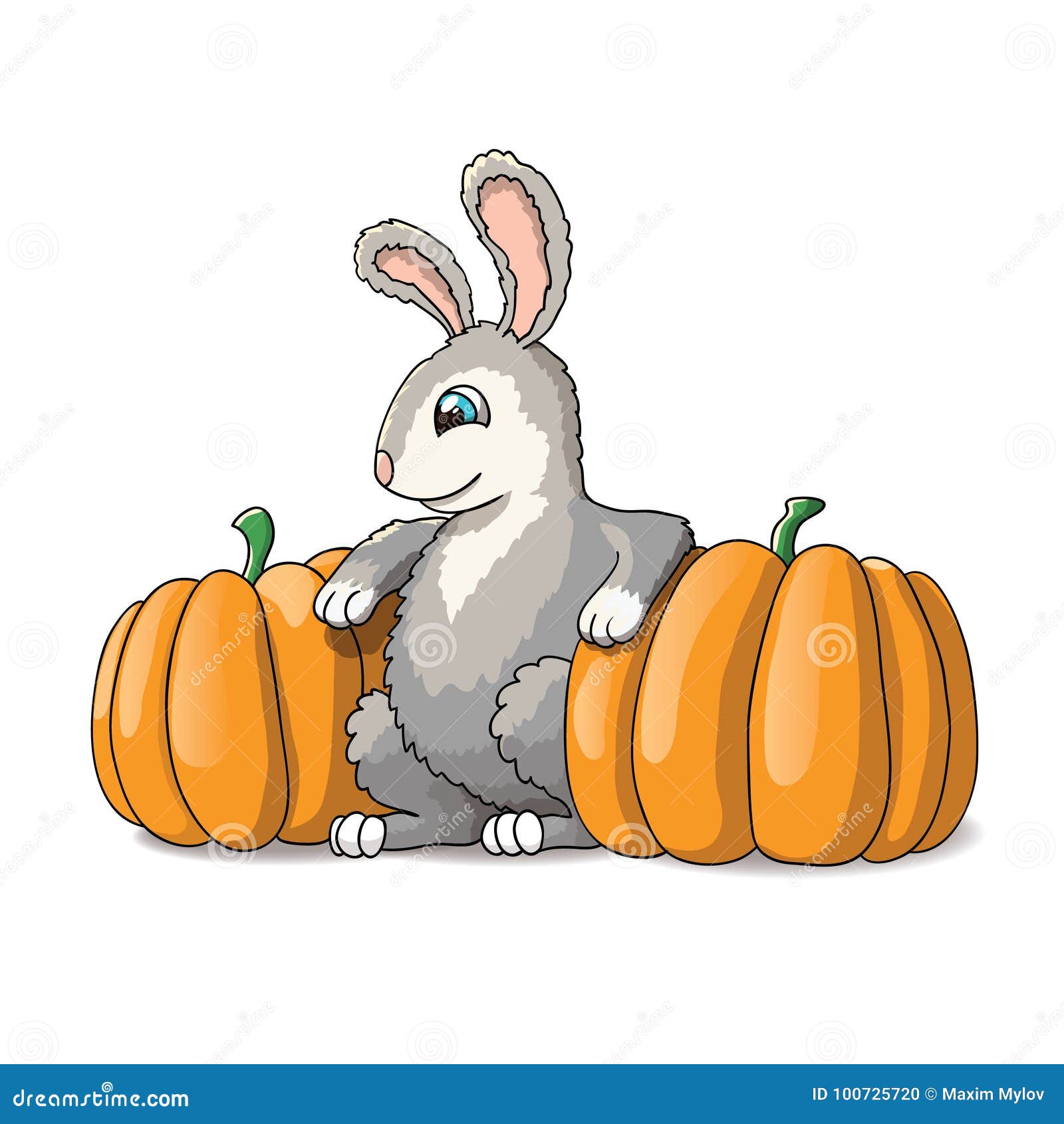 Cute Rabbit Cartoon Illustration with Pumpkins Stock Vector ...