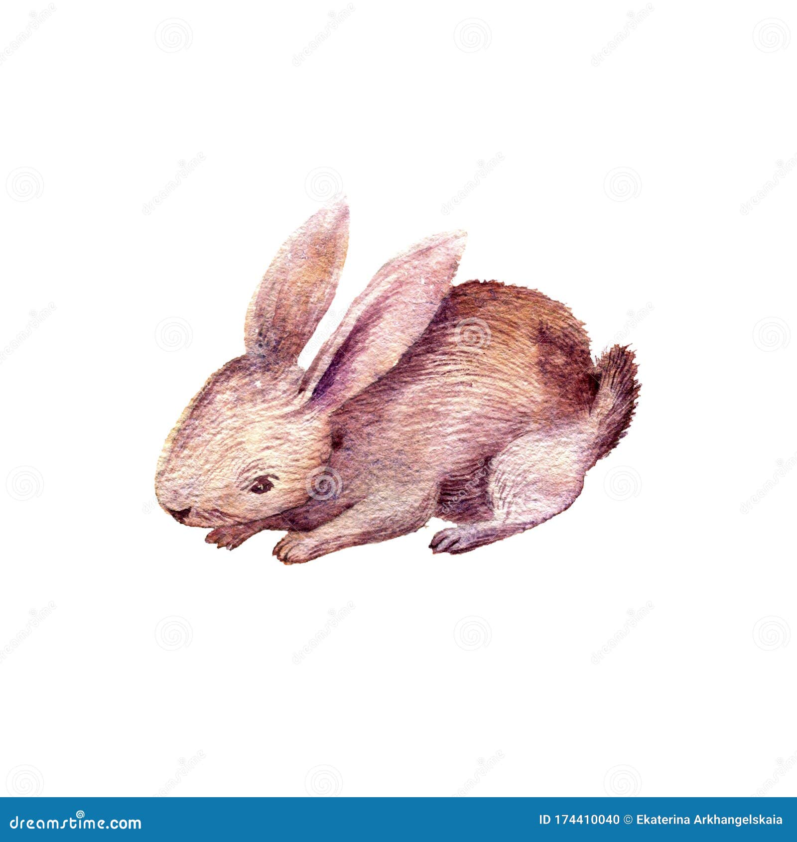 Cute Rabbit Drawing in Watercolor Stock Illustration - Illustration of ...