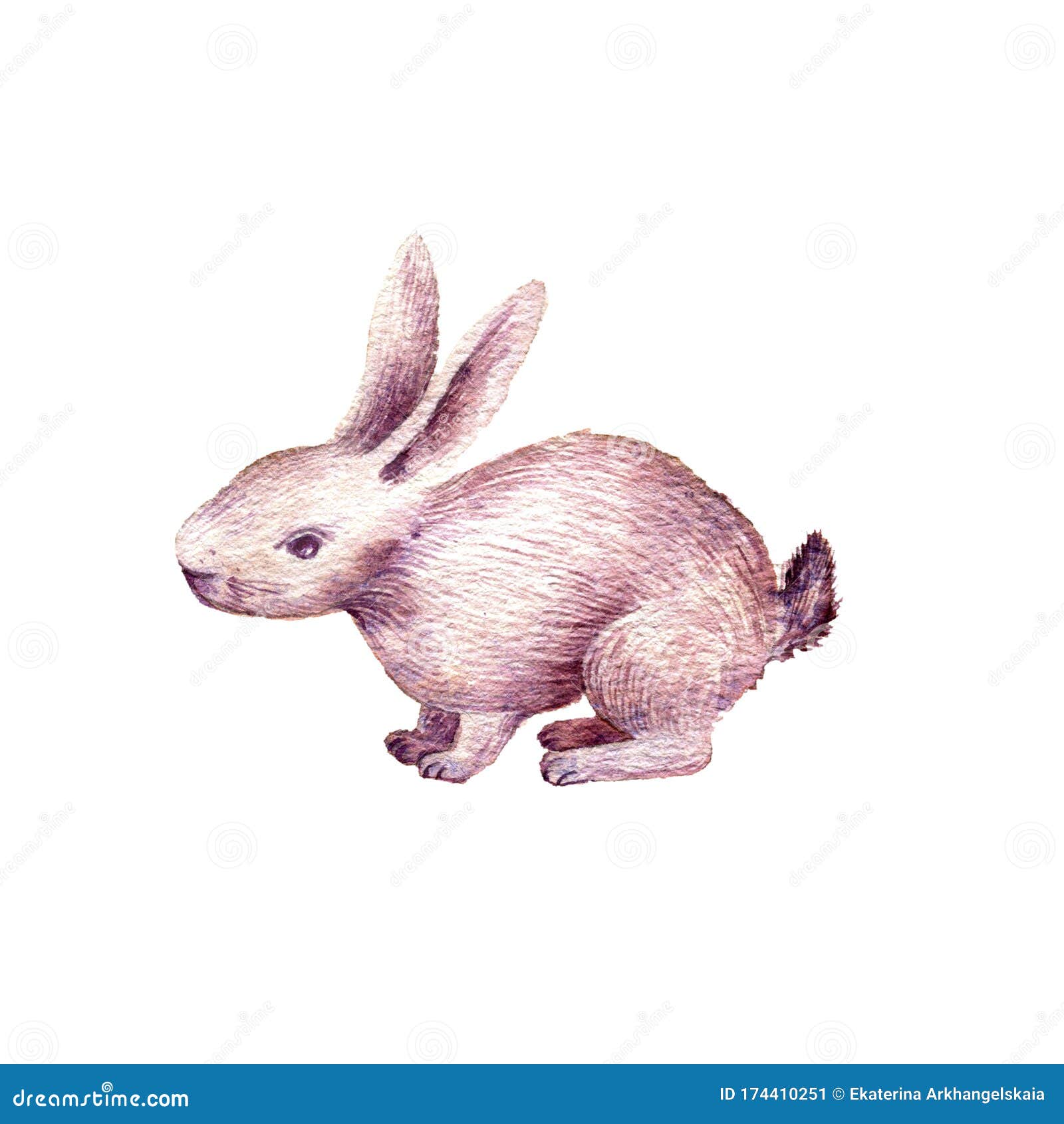 Cute Rabbit Drawing in Watercolor Stock Illustration - Illustration of ...