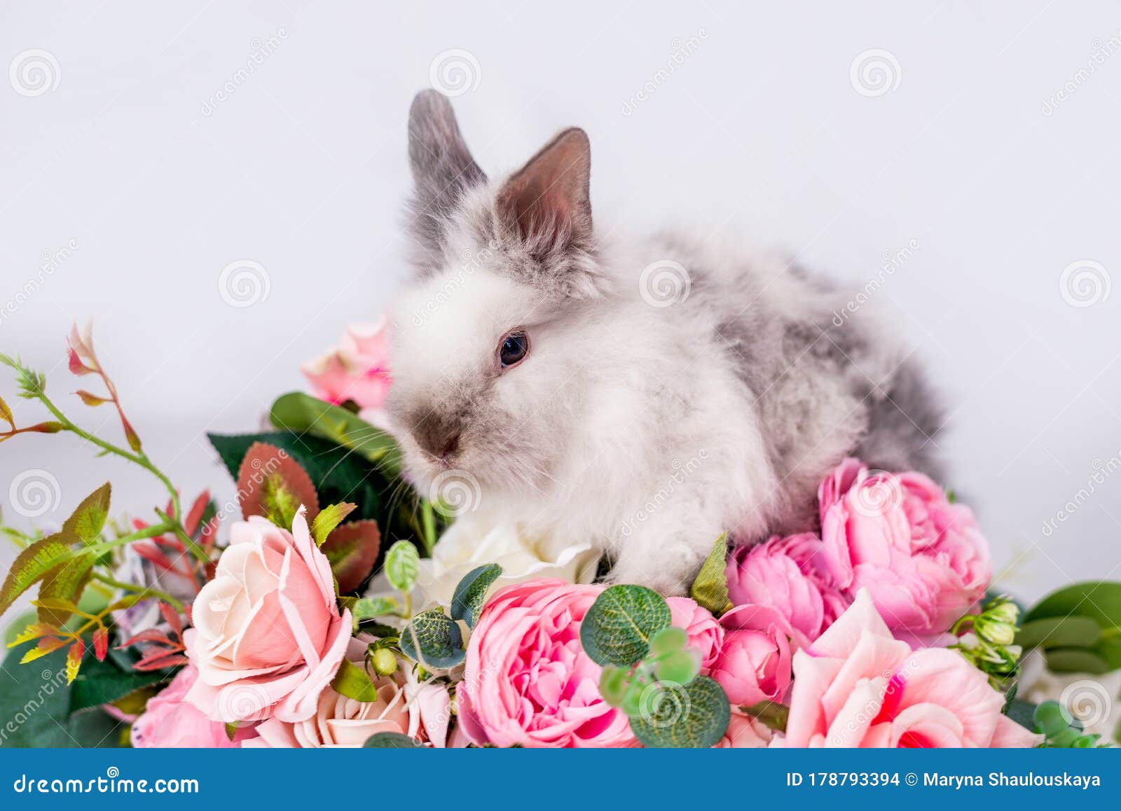 Cute Rabbit in Flowers on a White Background. Fluffy Easter Bunny Stock ...