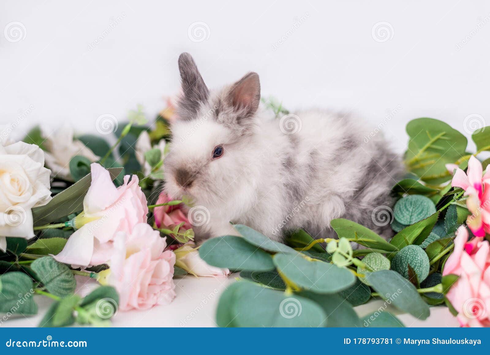 Cute Rabbit in Flowers on a White Background. Fluffy Easter Bunny Stock ...
