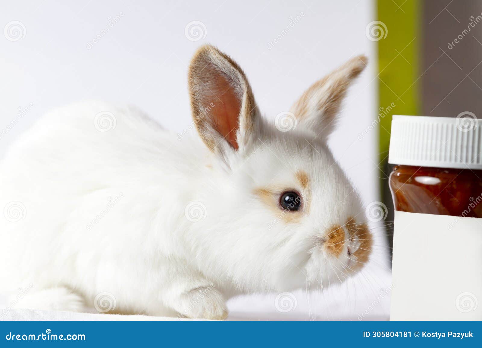 Cute rabbit near the jar stock image. Image of fleecy - 305804181