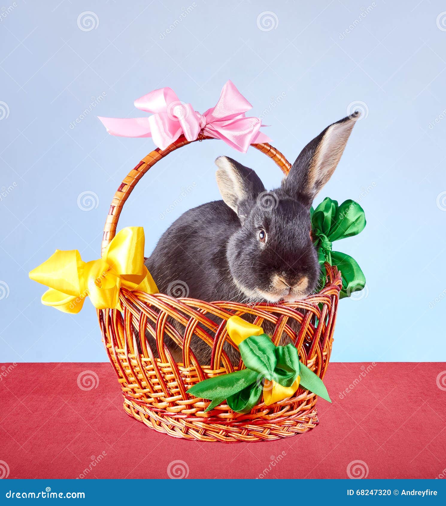 Cute Rabbit Sitting in a Basket Decorated with Ribbons Stock Photo ...