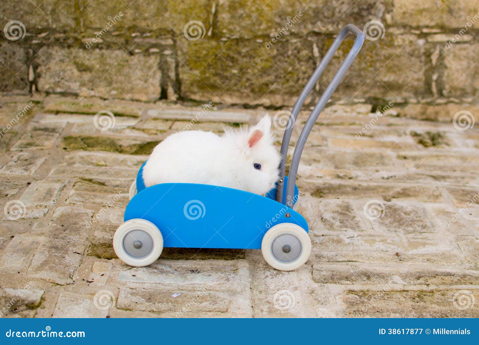 Rabbit On The Trolley Stock Photo | CartoonDealer.com #38622240