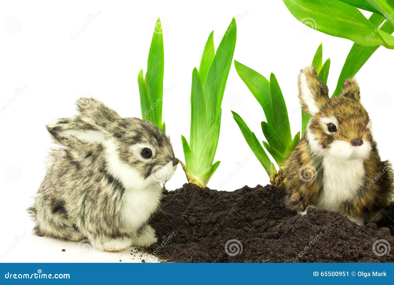 Cute Rabbits on the Soil with Green Plants Stock Image - Image of lawn ...