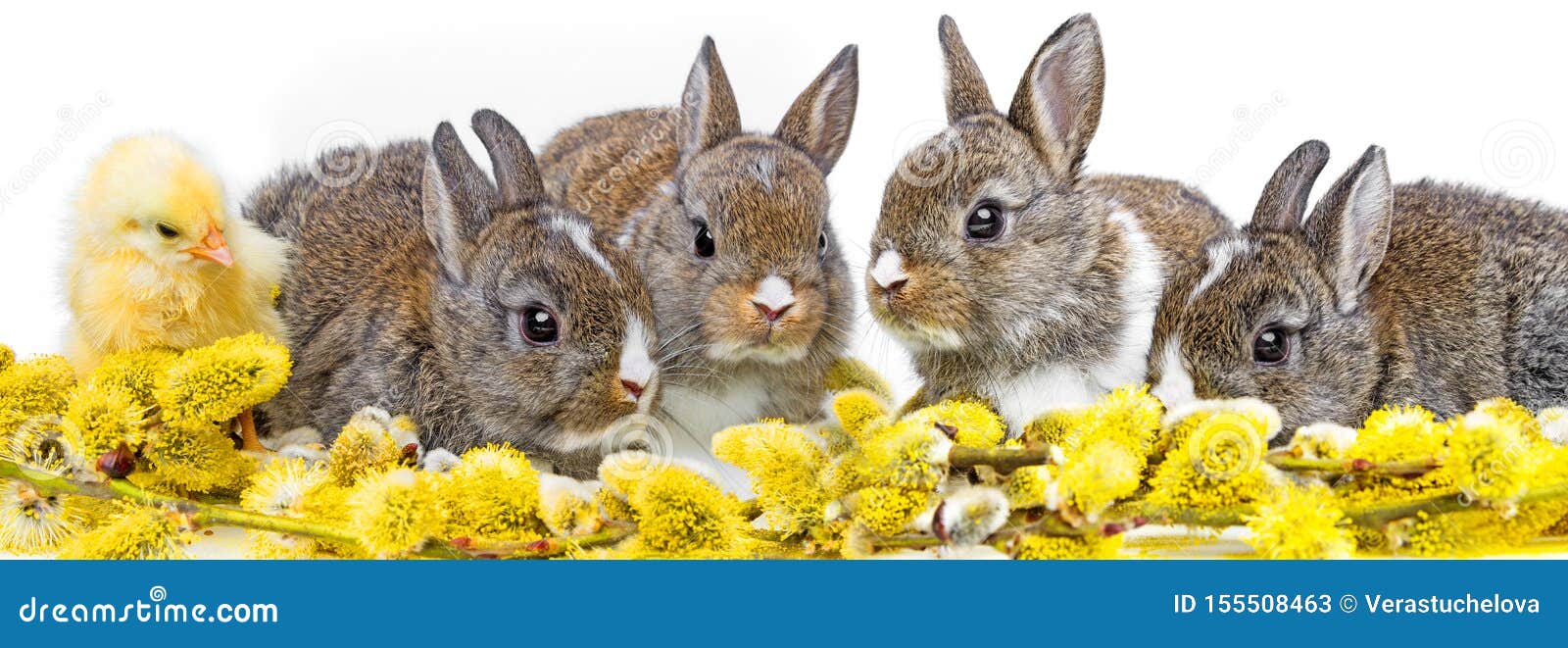 Cute Rabbits - Spring Animals Stock Image - Image of brown, chicken ...