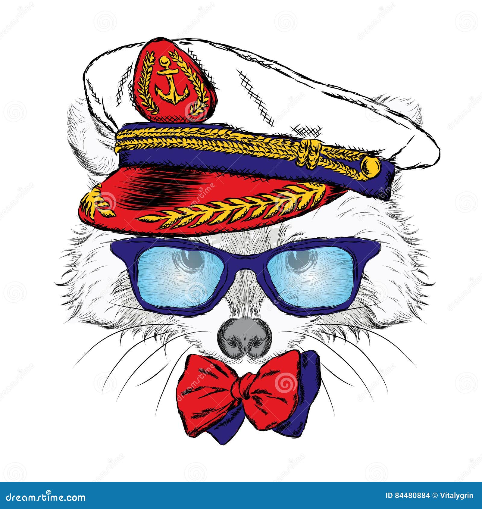 Cute Raccoon in the Captain`s Cap. Vector Illustration Stock Vector ...