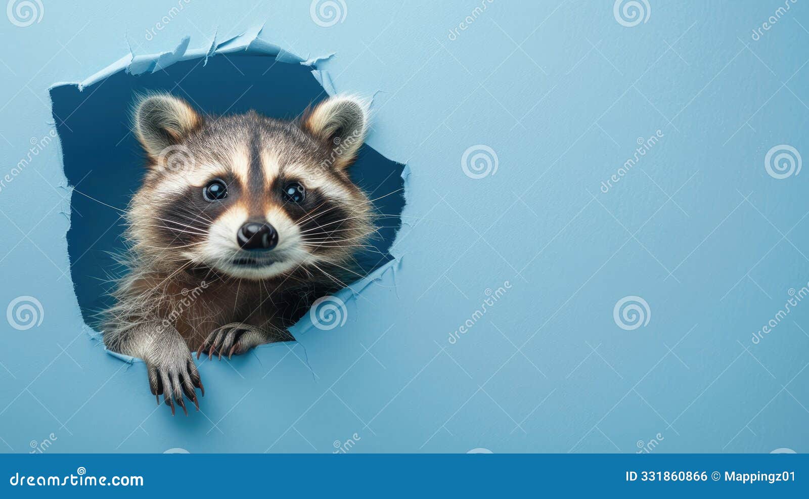 Raccoon Peeking From A Trash Bin Among Discarded Items Royalty-Free ...