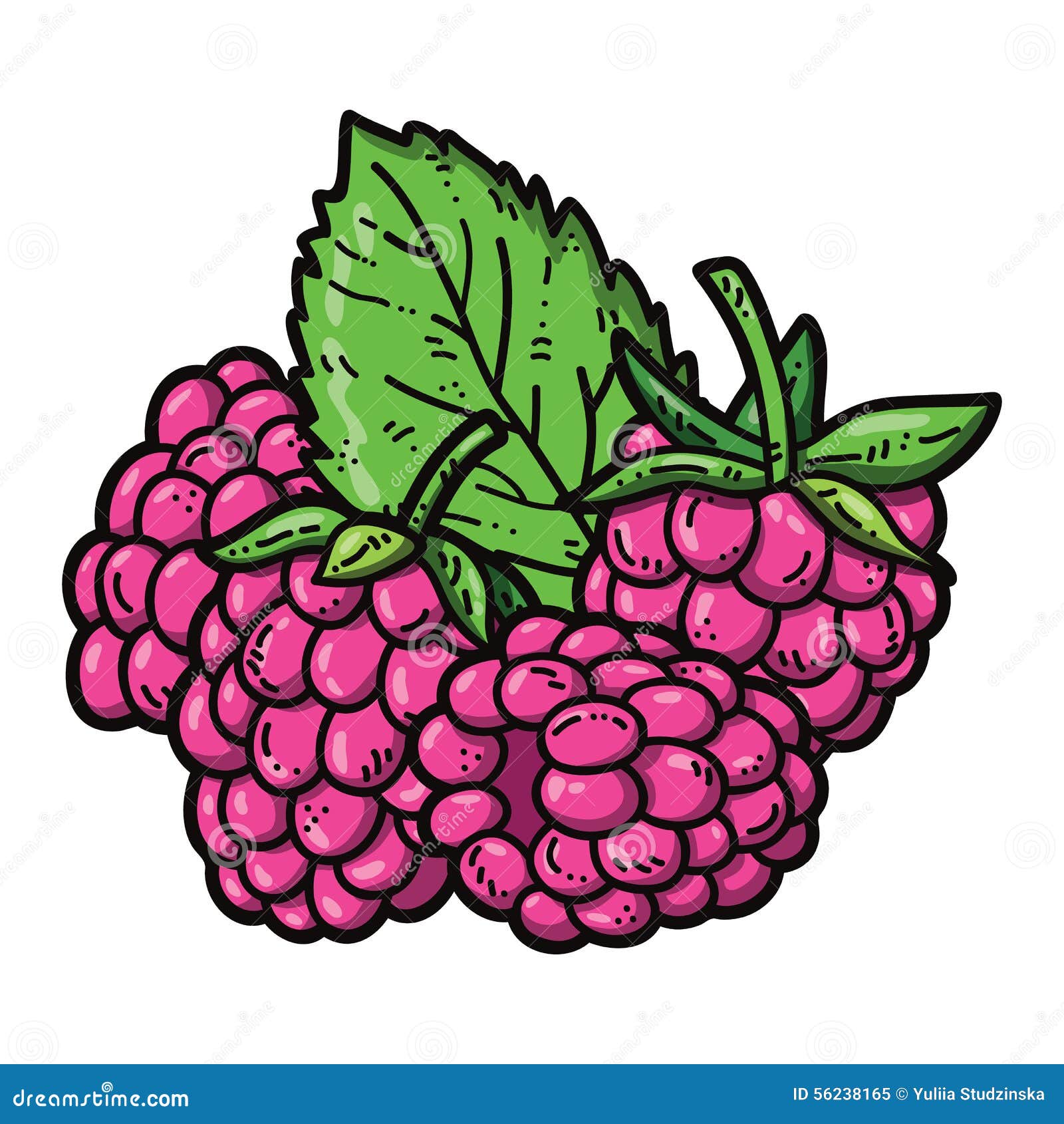 Cute raspberries. stock vector. Illustration of element - 56238165