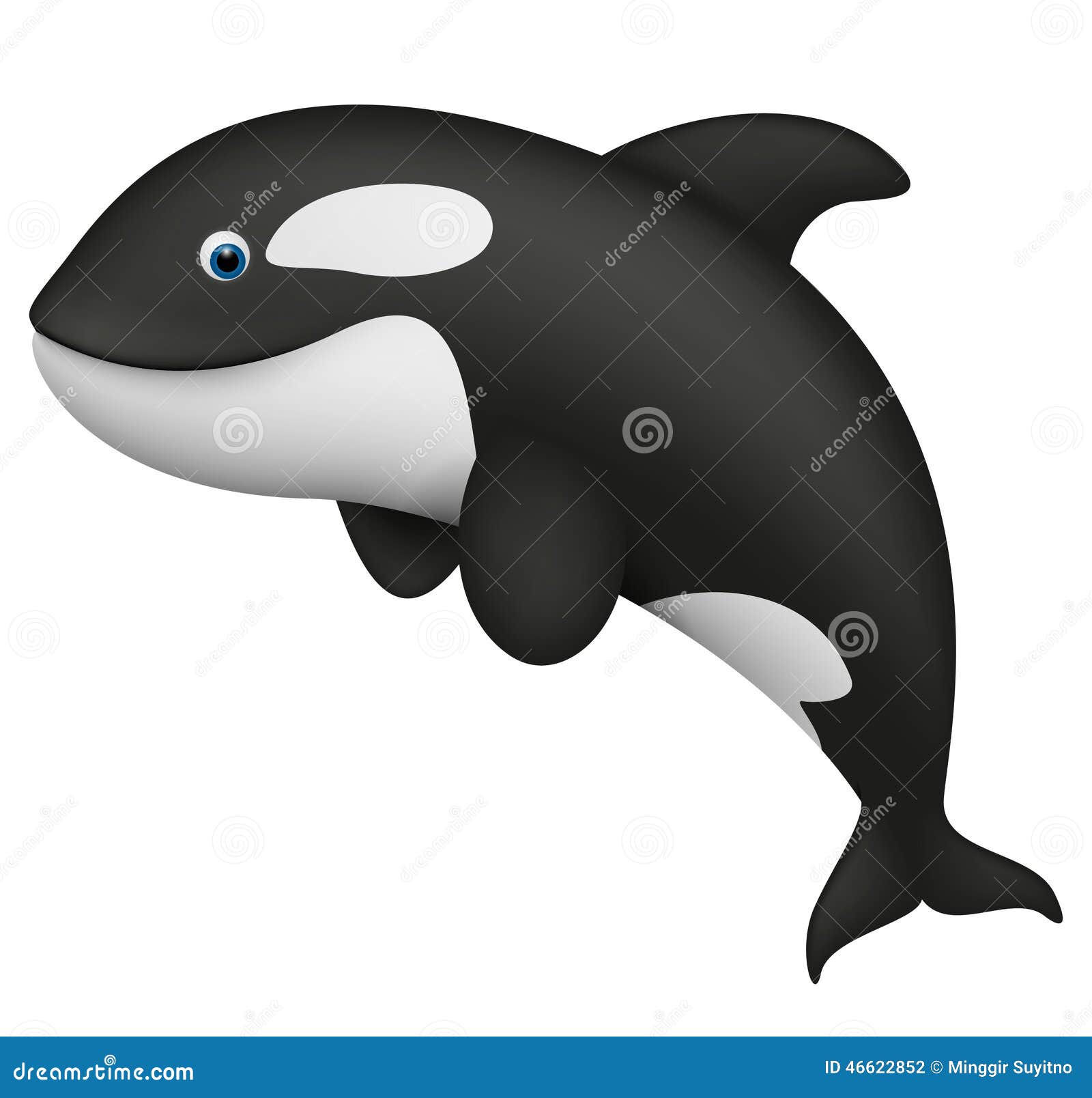 Cute Realistic Killer Whale Stock Vector - Illustration of underwater ...