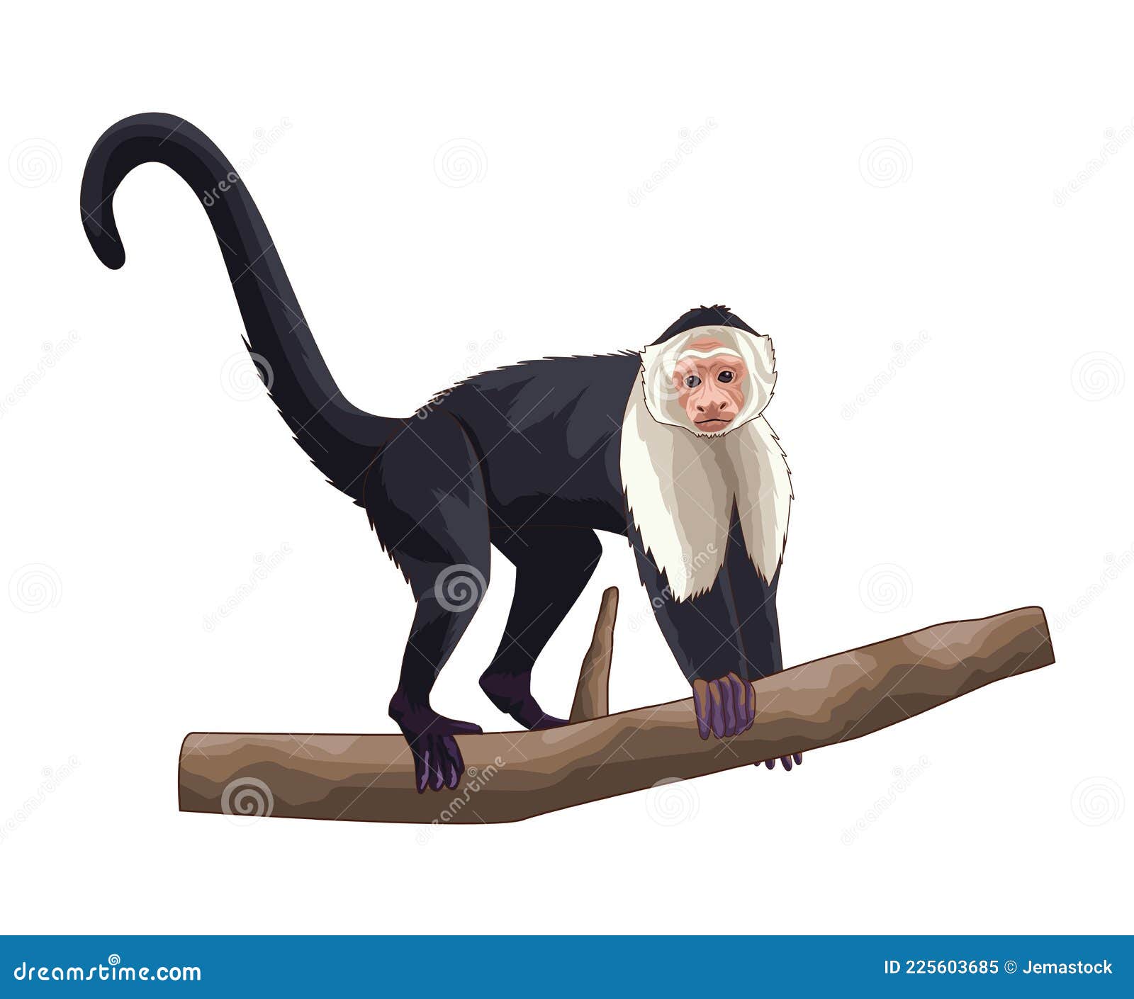 Cute and realistic monkey stock vector. Illustration of animal - 225603685