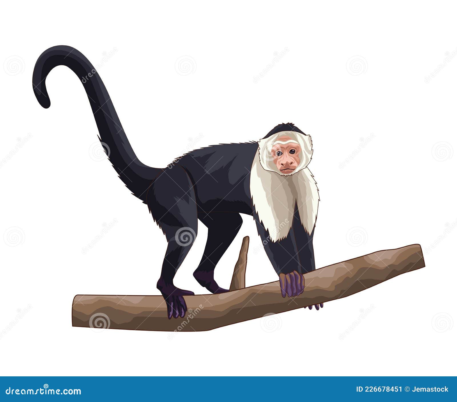 Cute and realistic monkey stock illustration. Illustration of animal ...