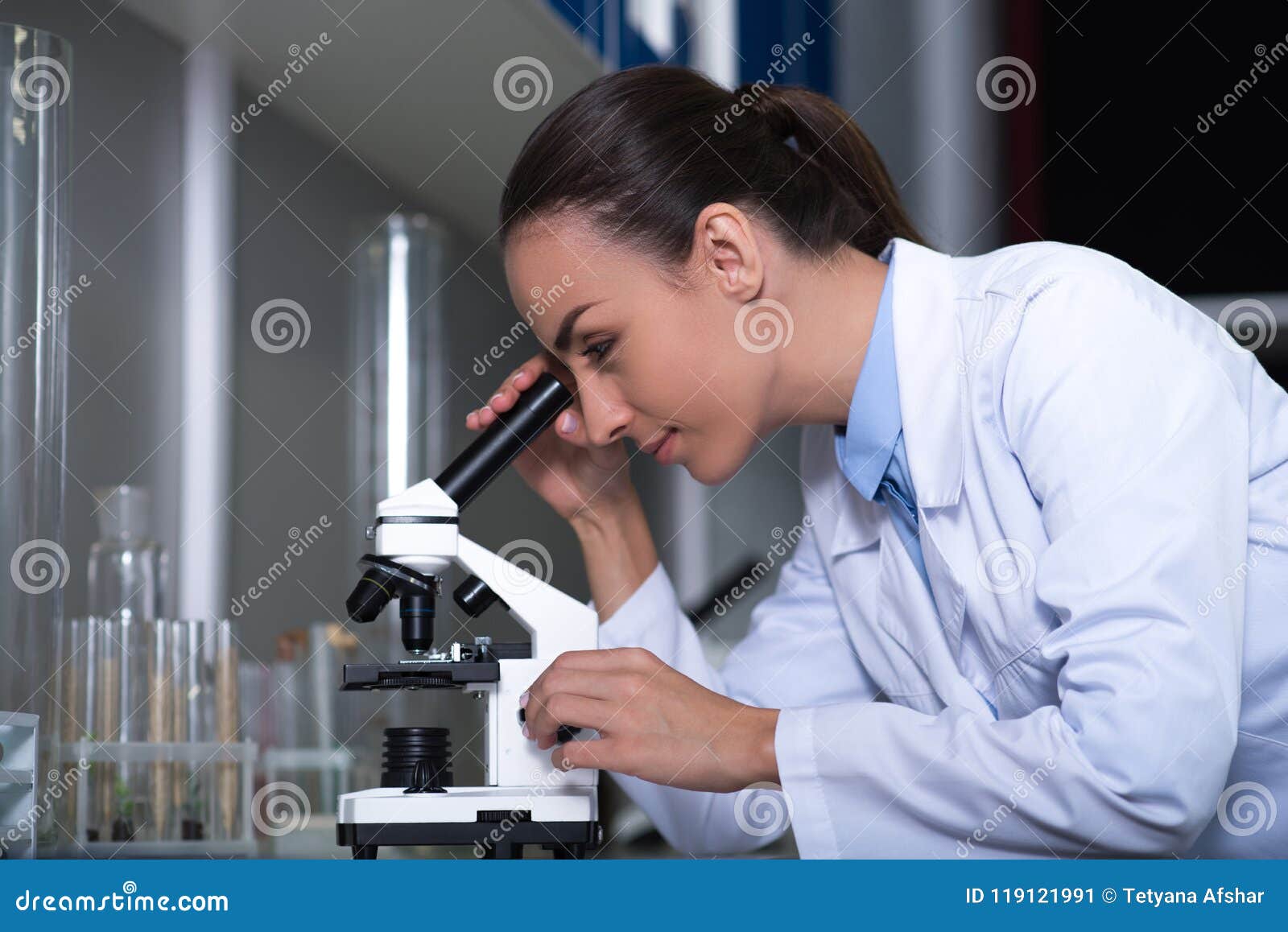 Microbiologists Work Stock Photos - Free & Royalty-Free Stock Photos ...