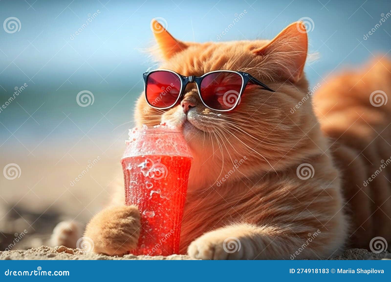 Cute Red Cat with Soda Lying on the Beach Stock Illustration ...