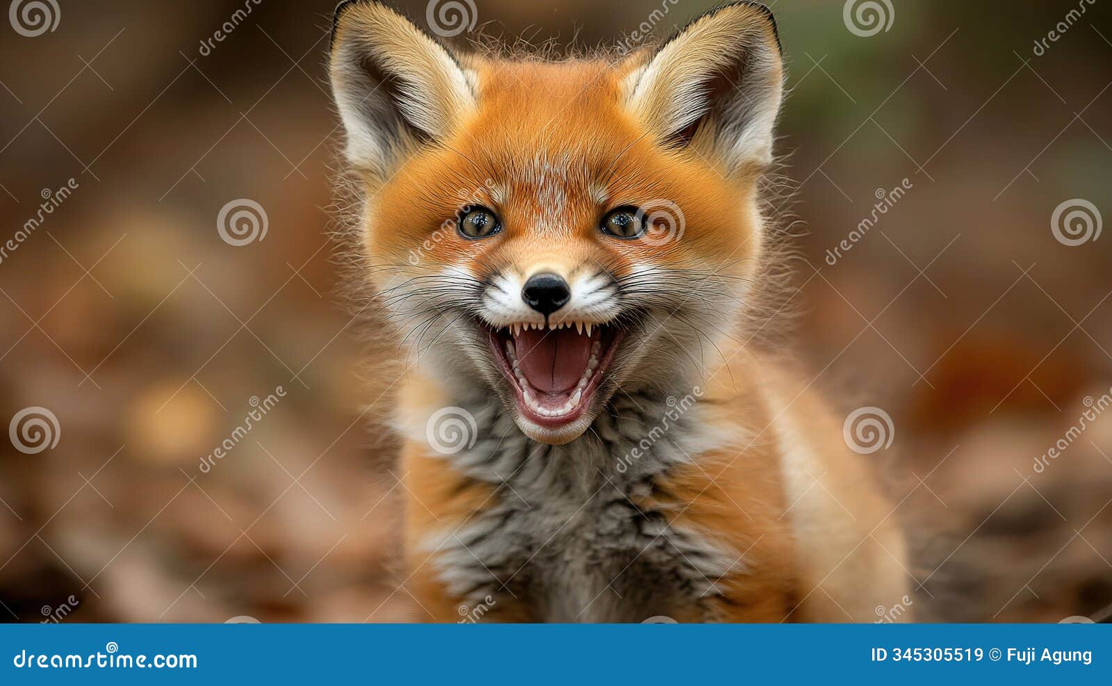 Cute Red Fox Cub stock illustration. Illustration of leaves - 345305519