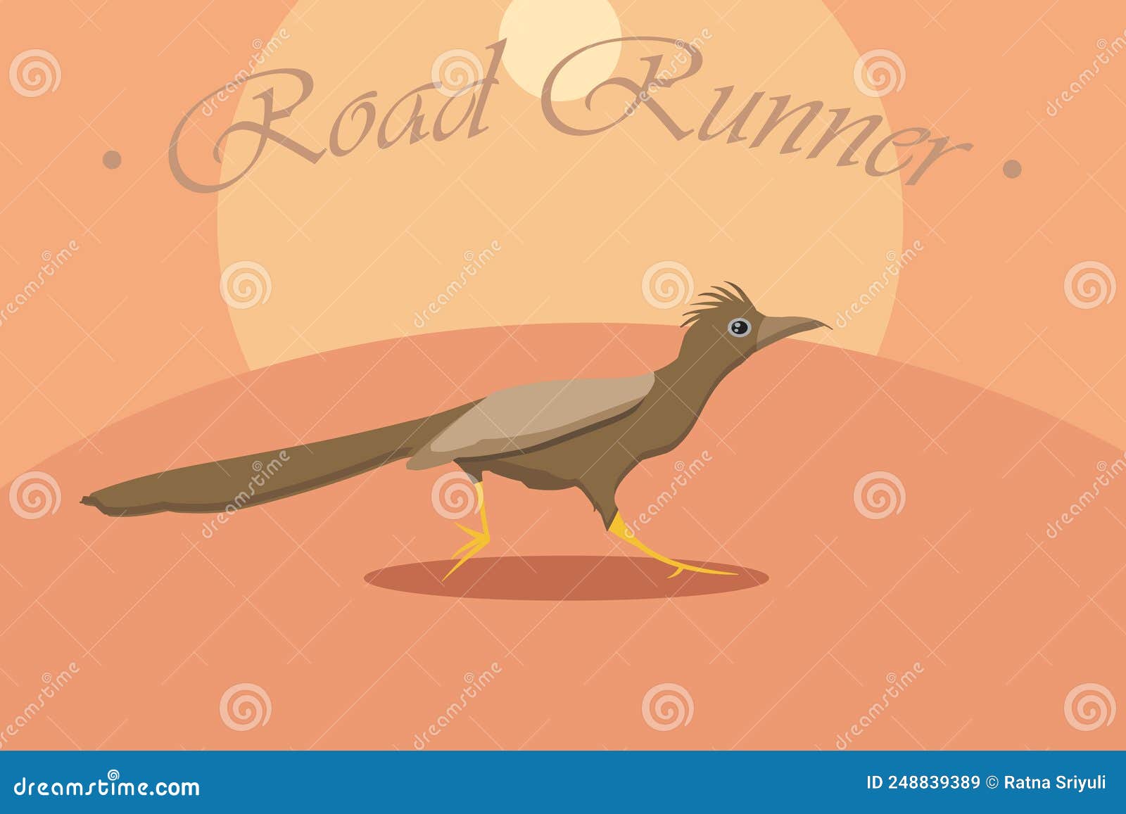 Cute Road Runner Cartoon Vector Stock Vector - Illustration of quirky ...