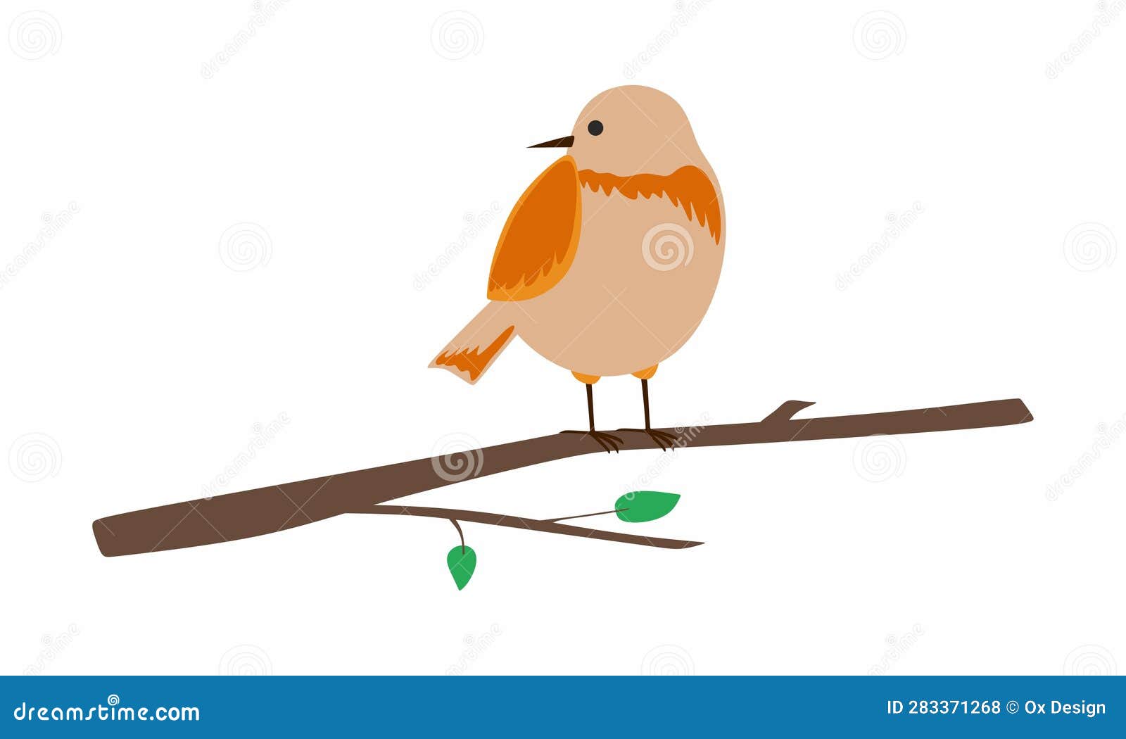 Cute Robin Bird on Branch. Vector Illustration. Isolated on White ...