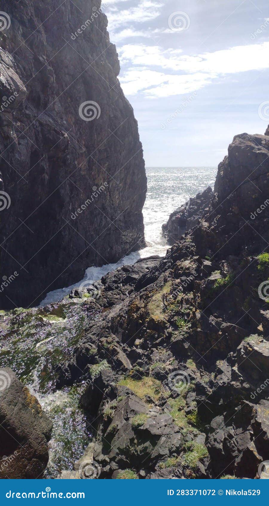 Cute rocks xx stock photo. Image of green, cute, rockd - 283371072