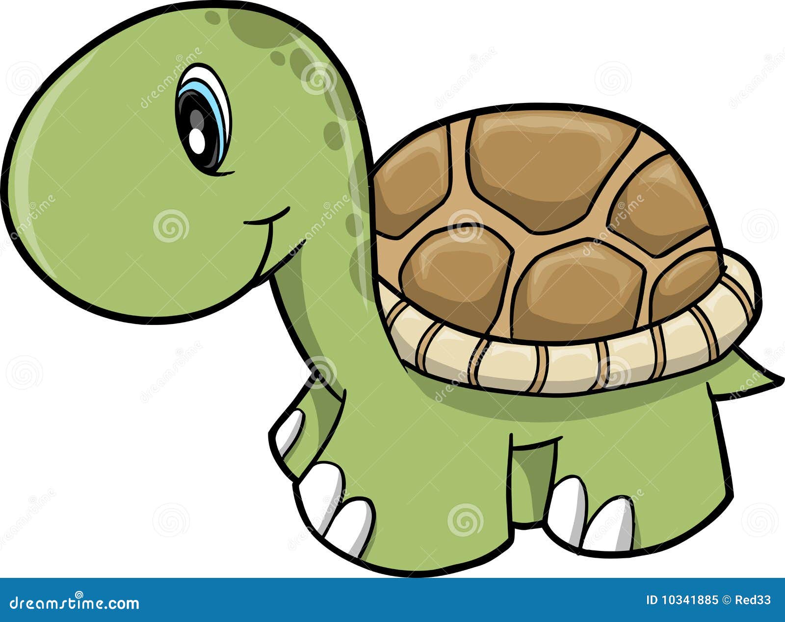 Cute Safari turtle Vector stock vector. Illustration of vector - 10341885