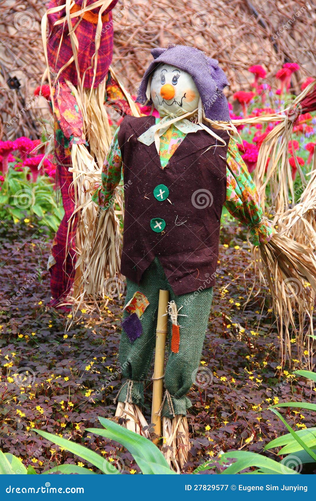 Cute scarecrow stock image. Image of flower, garden, object - 27829577