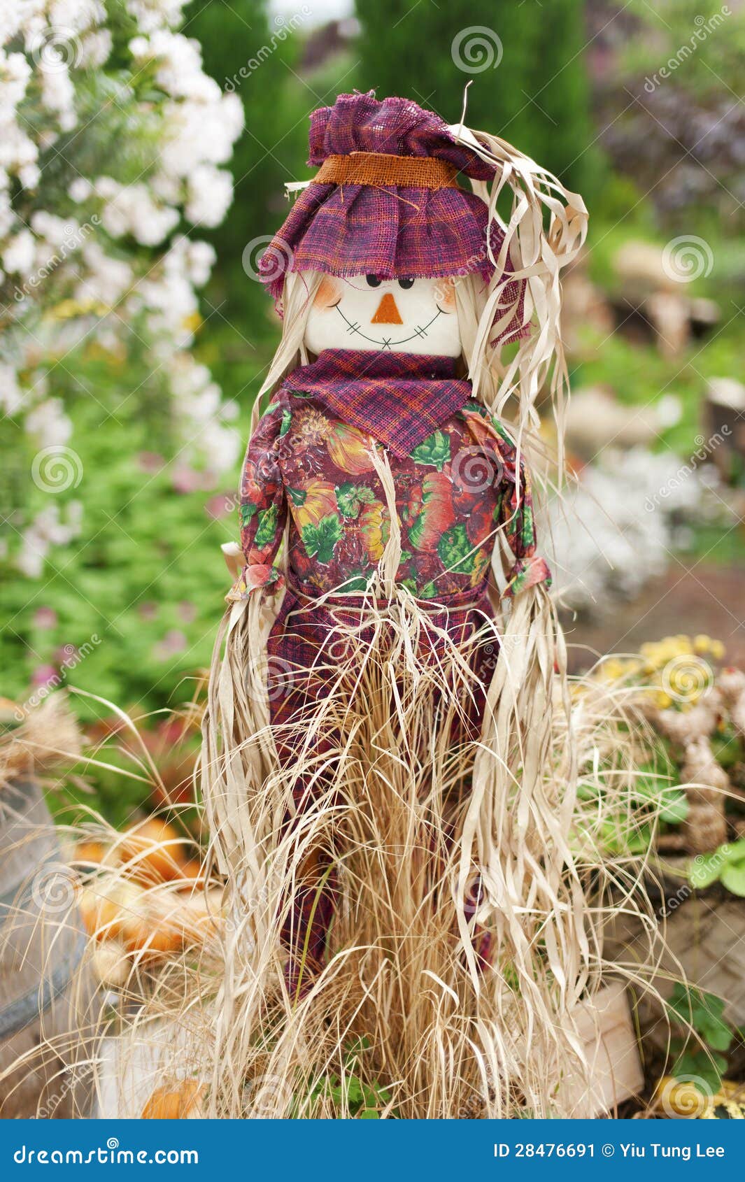 A cute Scarecrow stock image. Image of detail, funny - 28476691