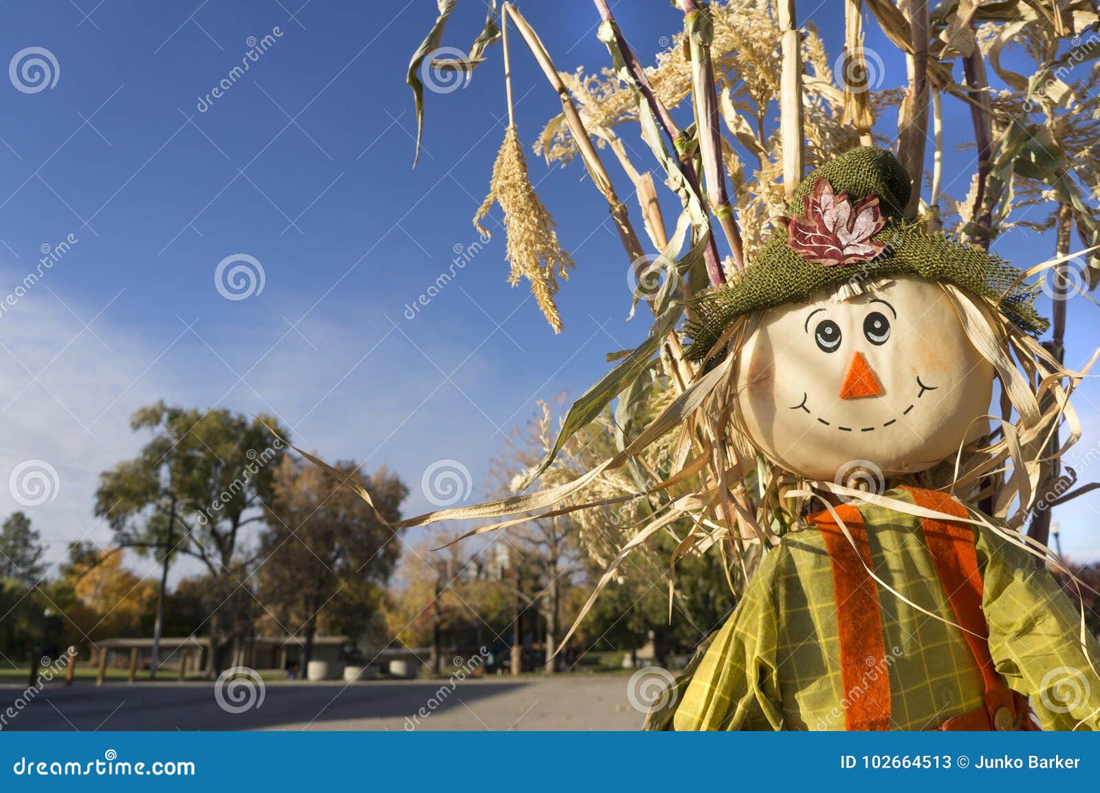 Cute Scarecrow in the fall stock image. Image of november - 102664513